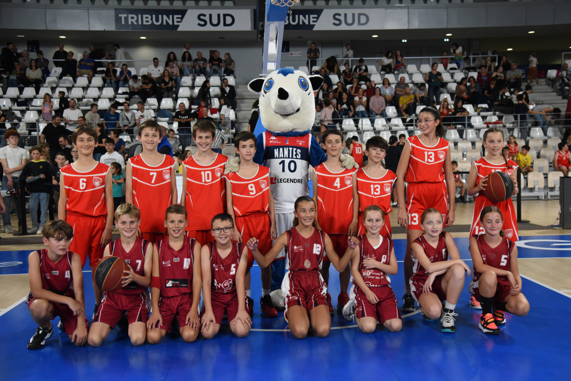 2023-2024 Le MGBB à l’honneur avec l’Hermine – MGBBasket